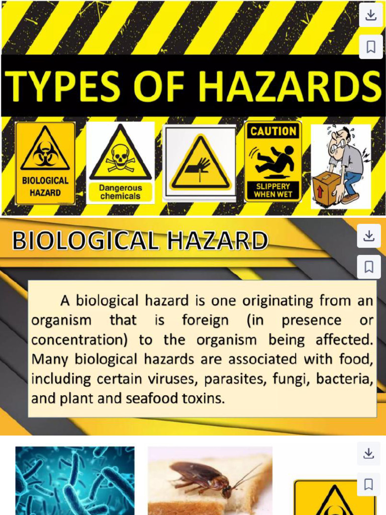 Types of Hazards and Hazard Mapping | PDF