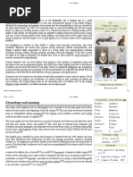 Wild Cat Family List by Lineage - Family | PDF | Felidae | Panthera