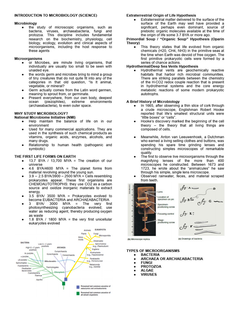 Introduction to Microbiology Basics | PDF | Bacteria | Microorganism