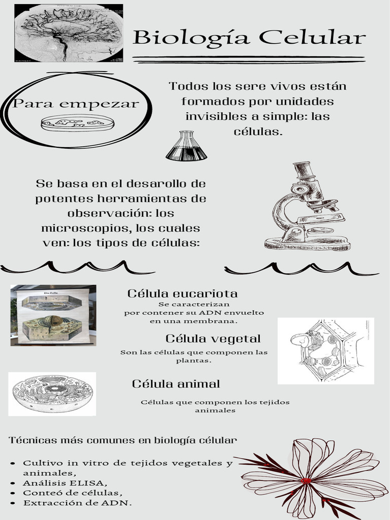 Biología Celular | PDF