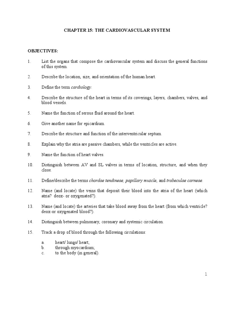 Cardiovascular System | PDF | Heart Valve | Heart