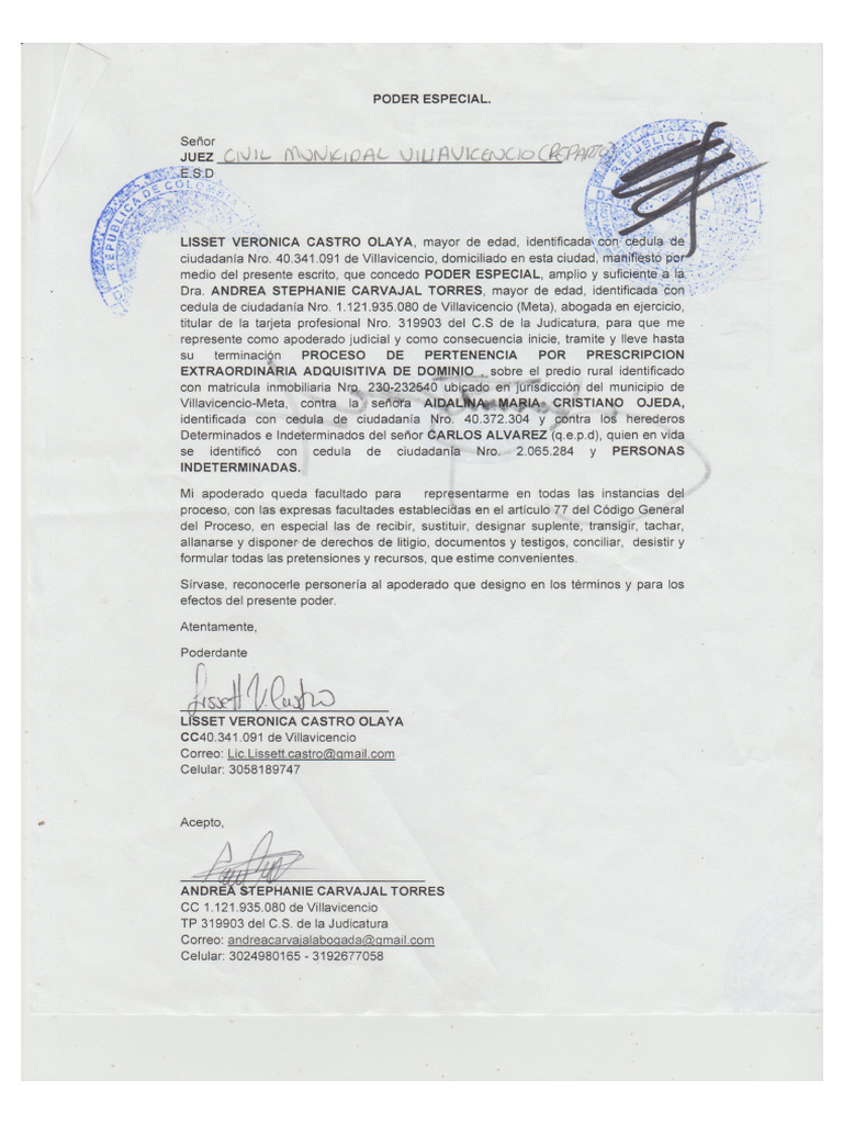 01DemandaConAnexos | PDF | Mandato | Posesión adversa