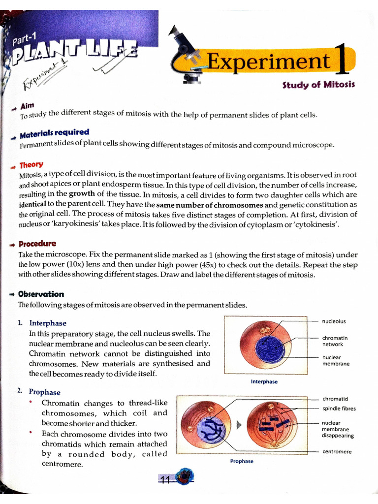 Biology Class 10 Practical | PDF
