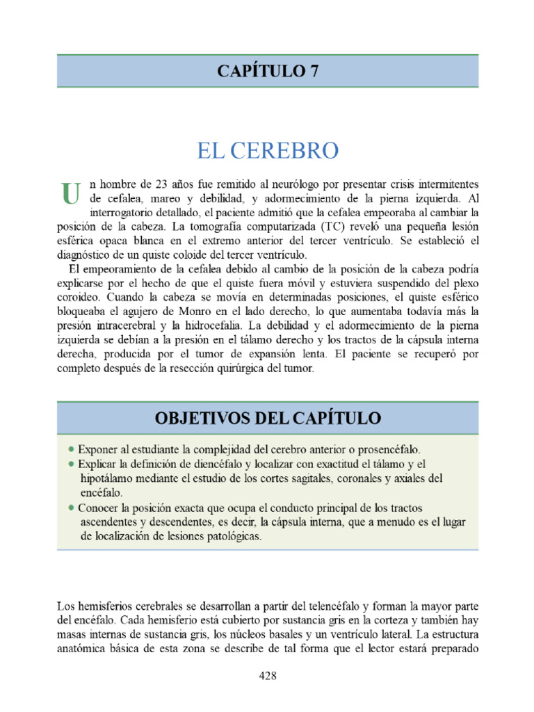 Cerebro Cap Snell | PDF