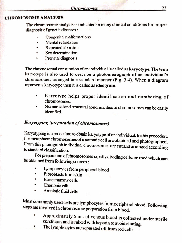 Karyotyping, FISH & Lyon's Hypothesis | PDF