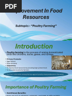 Poultry Production Management Guide | PDF | Chicken | Poultry Farming