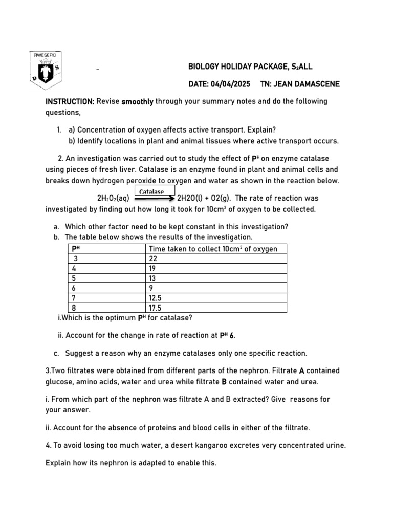 Biology Holiday Package: Active Transport & Enzymes | PDF