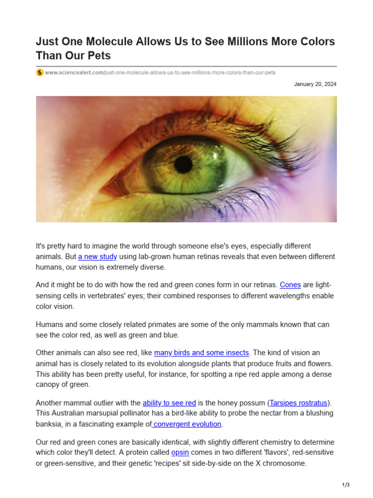Molecule's Role in Human Color Vision | PDF | Color | Retina