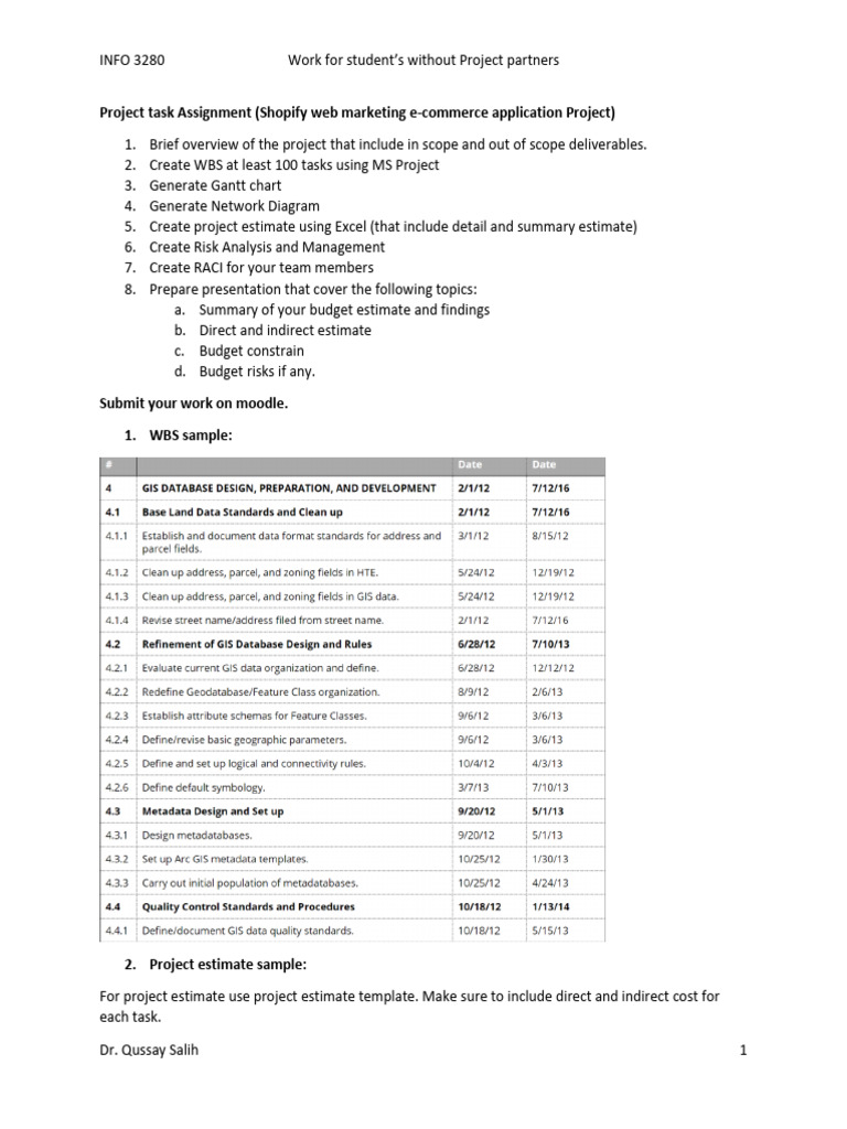 Shopify E-commerce Project Assignment Guide | PDF