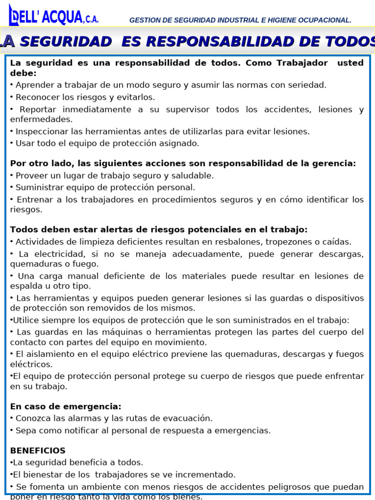 La Seguridad Es Responsabilidad de Todos | PDF