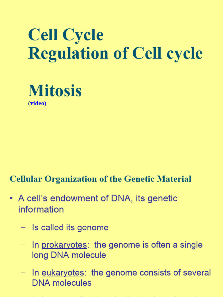 Cell Cycle Regulation of Cell cycle Mitosis | PDF | Mitosis | Cell Cycle
