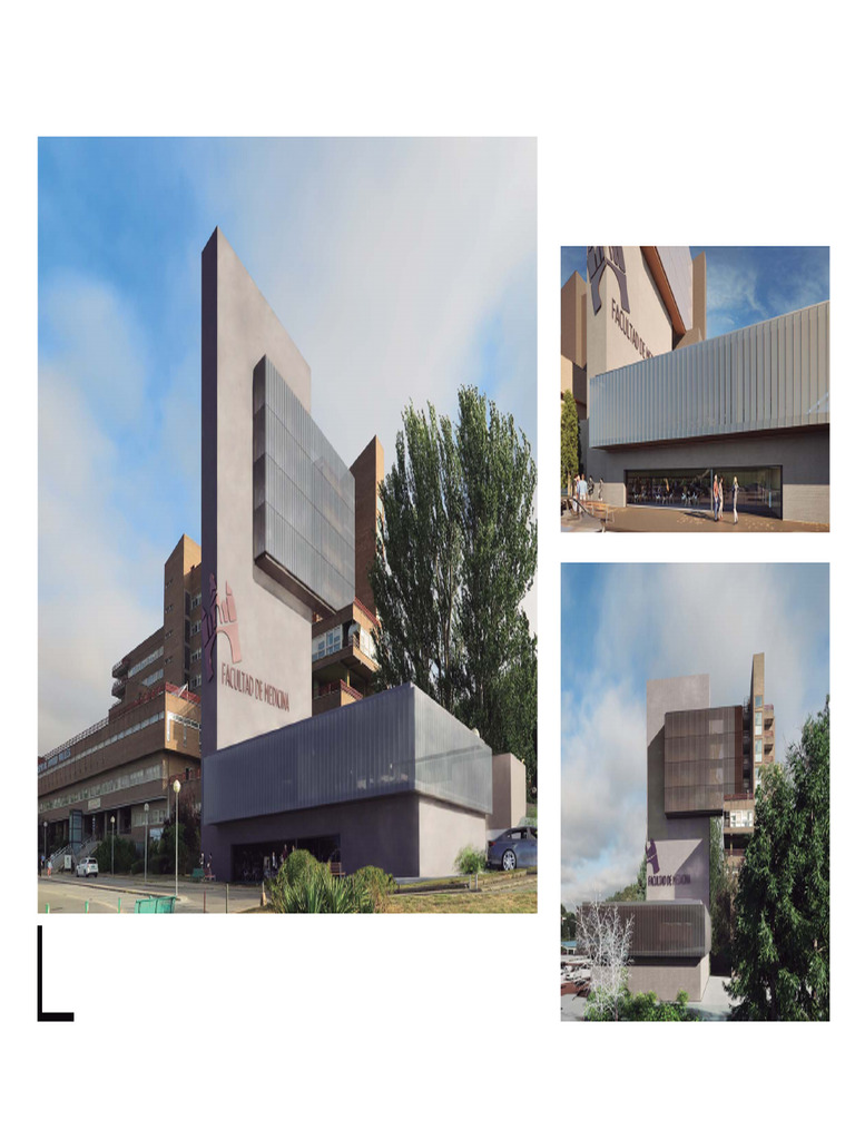 ANEXO Infografias | PDF