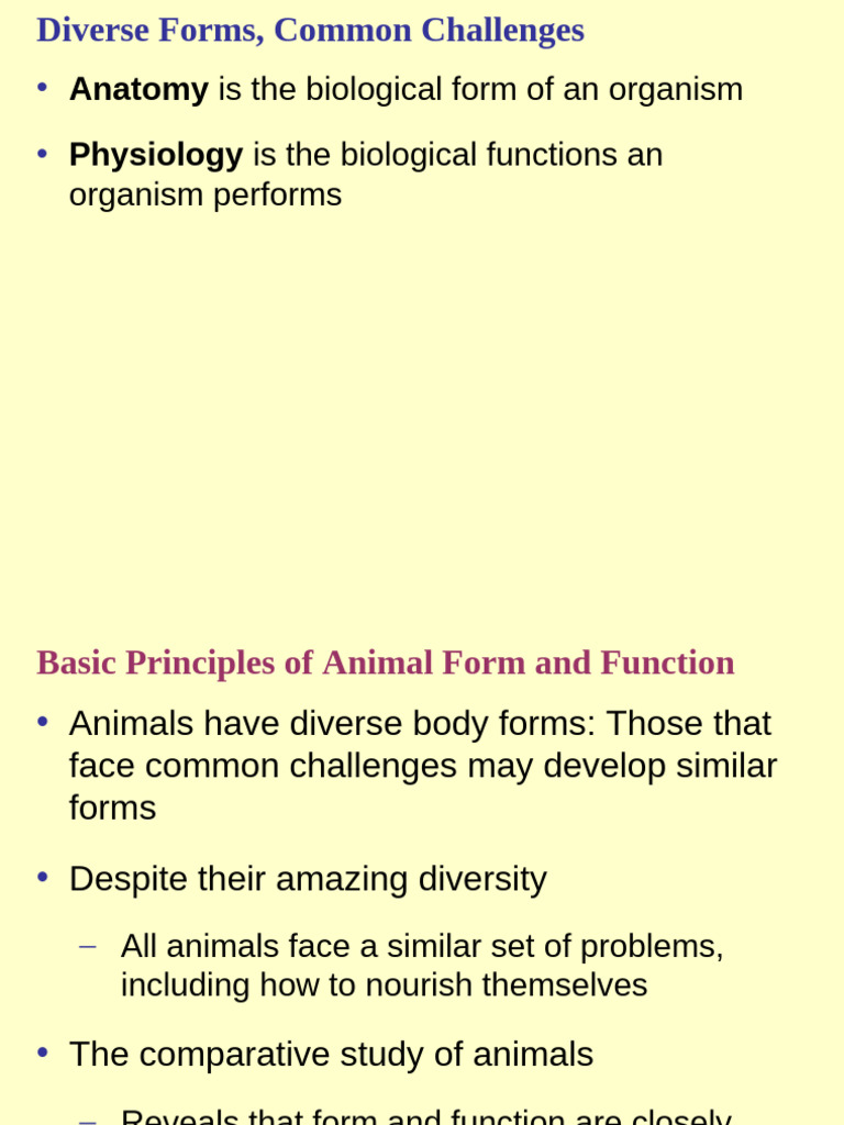 Animal Form and Function Overview | PDF | Epithelium | Human Body