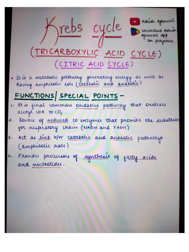 krebs cycle | PDF