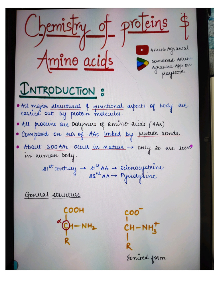 Chemistry of Protein | PDF