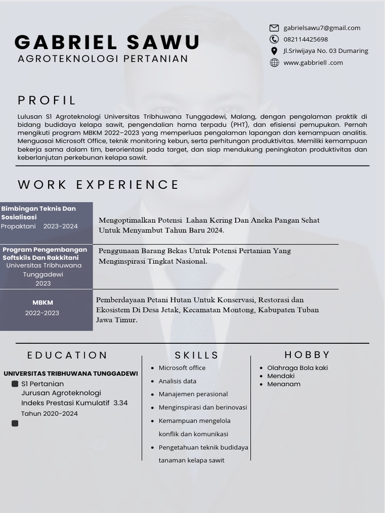 Gabriel Sawu - Resume CV | PDF