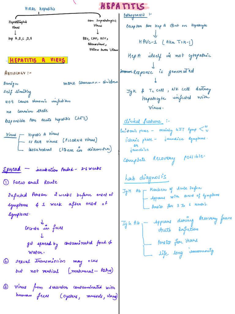 Hepatitis | PDF