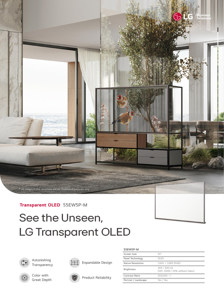 55EW5P-M_Datasheet(low)_LG T-OLED_240829 (1) (2) | PDF | Oled | Film And Video Technology