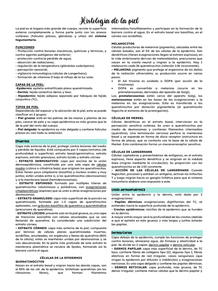 CyD UP4 2025 - Hepatocito - Med | PDF | Receptor (Bioquímica) | Piel