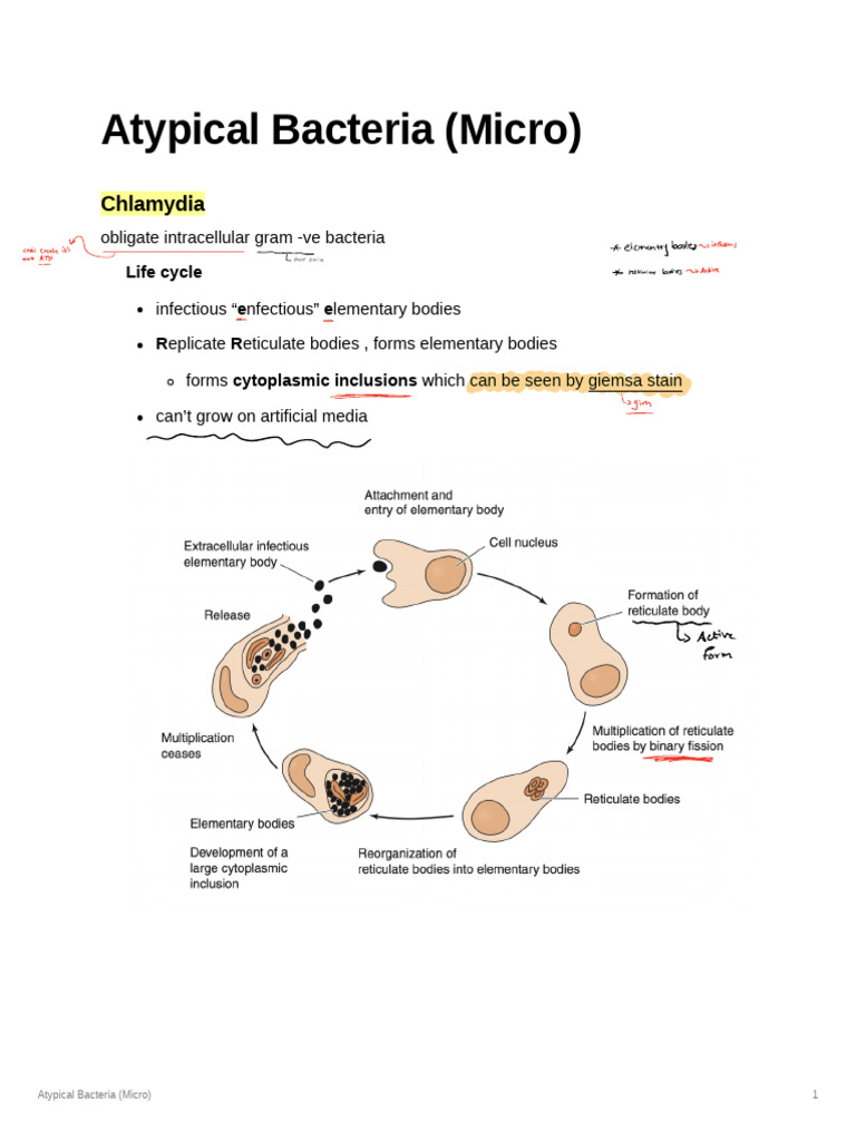 Atypical Bacteria (Micro) | PDF | Clinical Medicine | Human Diseases ...