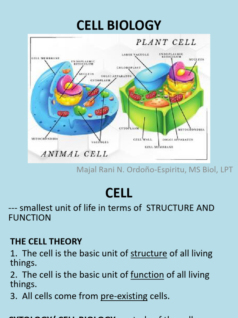 3 Cellular Level of Organization | PDF | Cell Membrane | Cellular Respiration