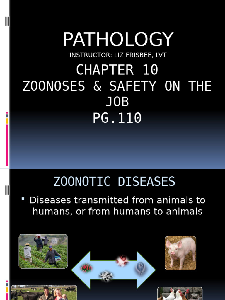 Zoonoses and Workplace Safety Guide | PDF | Pathogen | Occupational ...
