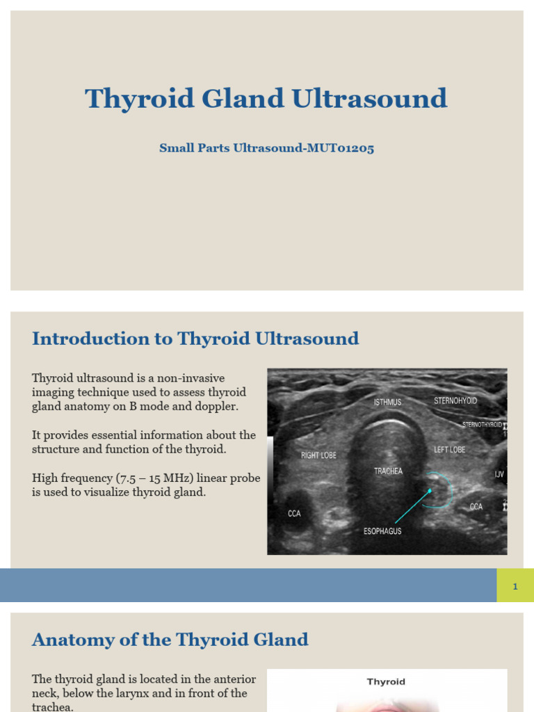 Thyroid Ultrasound Guide and Protocol | PDF | Thyroid | Endocrine System