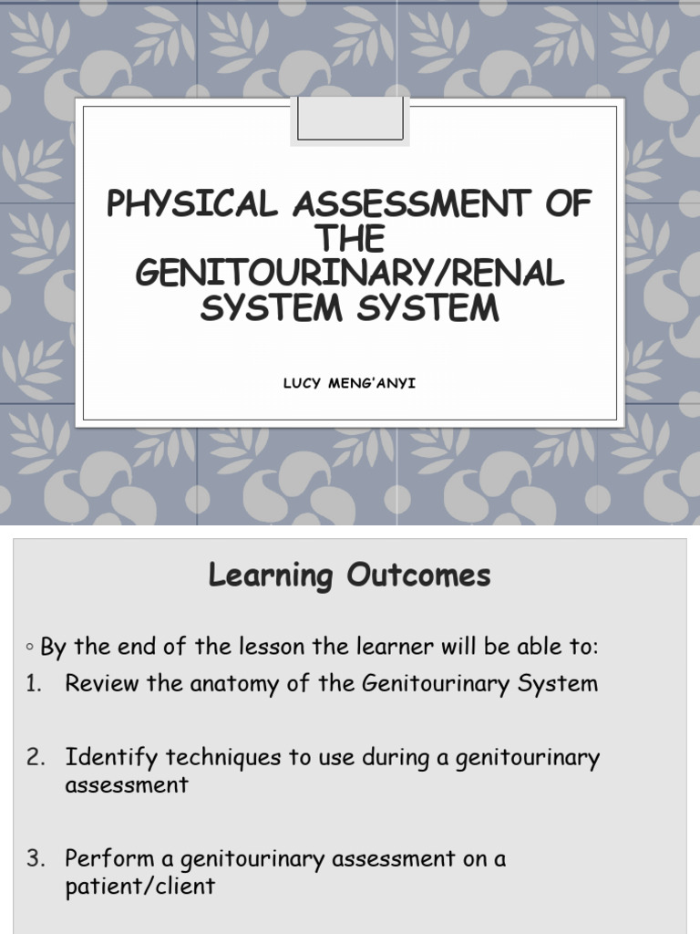 Physical Assessment of The Genitourinary System | PDF | Organ (Anatomy ...