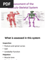 Musculoskeletal System Assessment Guide | PDF | Anatomical Terms Of ...