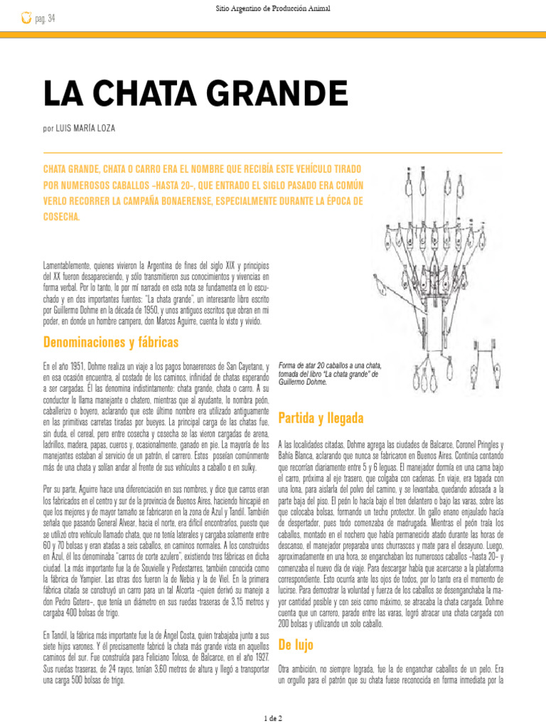 32-Chata Grande | PDF | Carro | Caballos