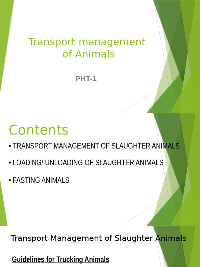 Lecture 2 Transport Management - Peralta Benjamin | PDF | Animal ...