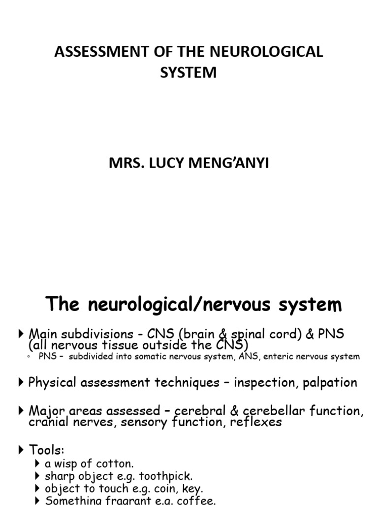 Neurological System Assessment Guide | PDF | Foot | Anatomical Terms Of ...