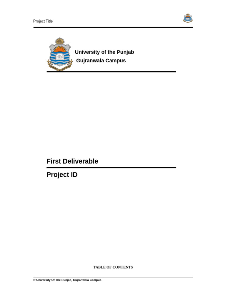 First Deliverable For Development Project | PDF | Feasibility Study | Performance Indicator