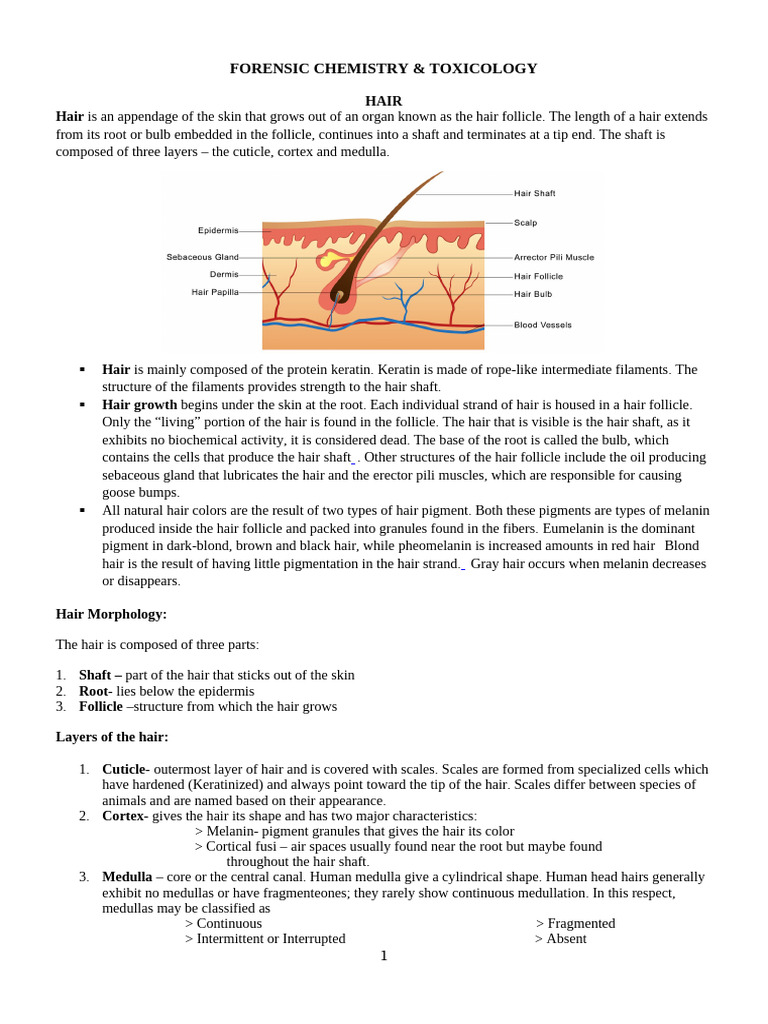Forensic Chemistry Toxicology by Col. Papa | PDF | Paint | Gunpowder