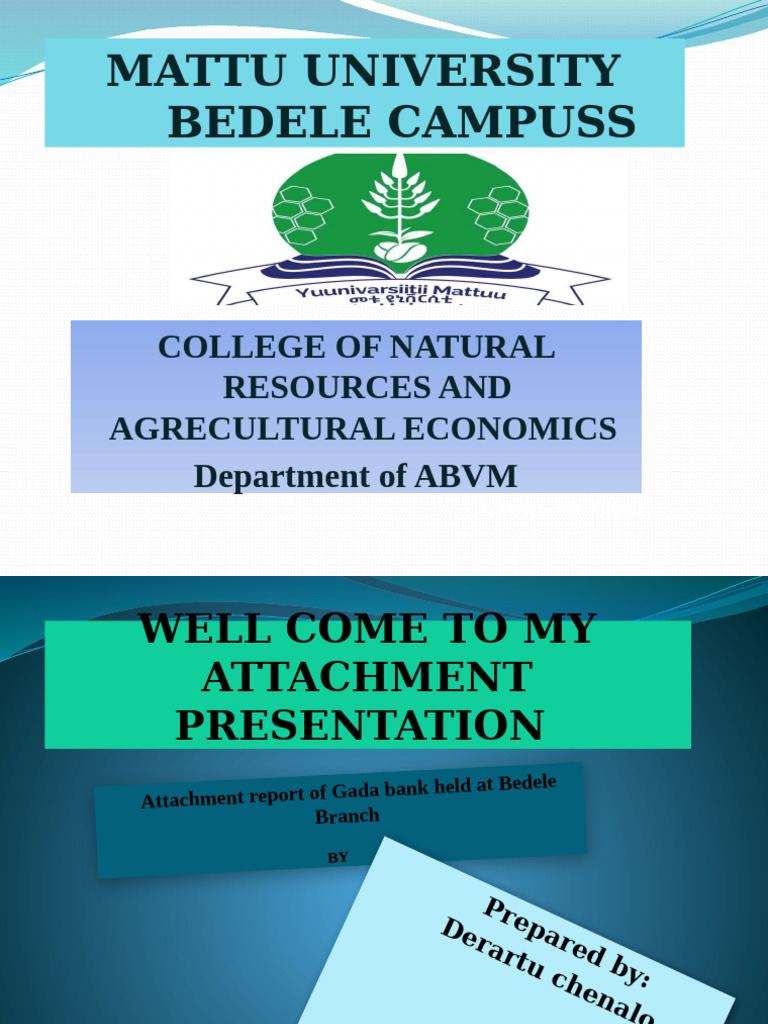 Practical Attachement Presentationppt | PDF | Banks | Knowledge