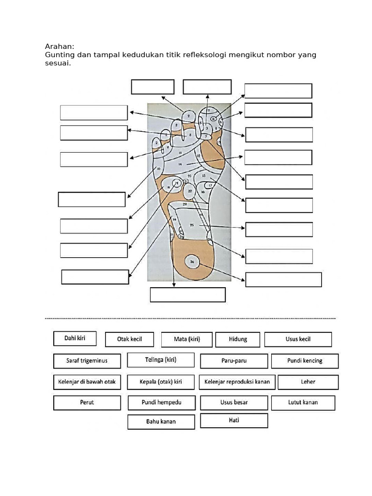 Refleksologi Kaki Pdf
