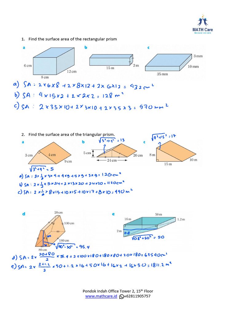 Aline's SA and Volume Anas | PDF
