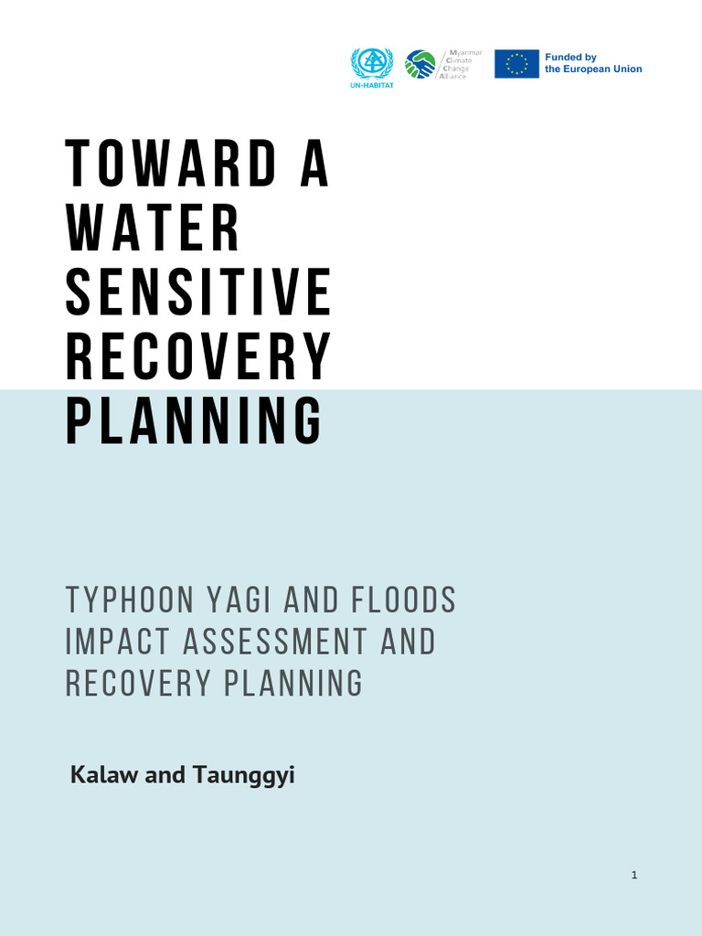 Typhoon Yagi Recovery Planning Guide | PDF | Wash | Natural Environment