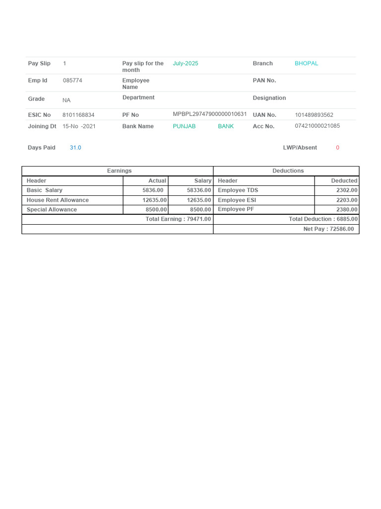 Employee Pay Slip for July 2025 | PDF