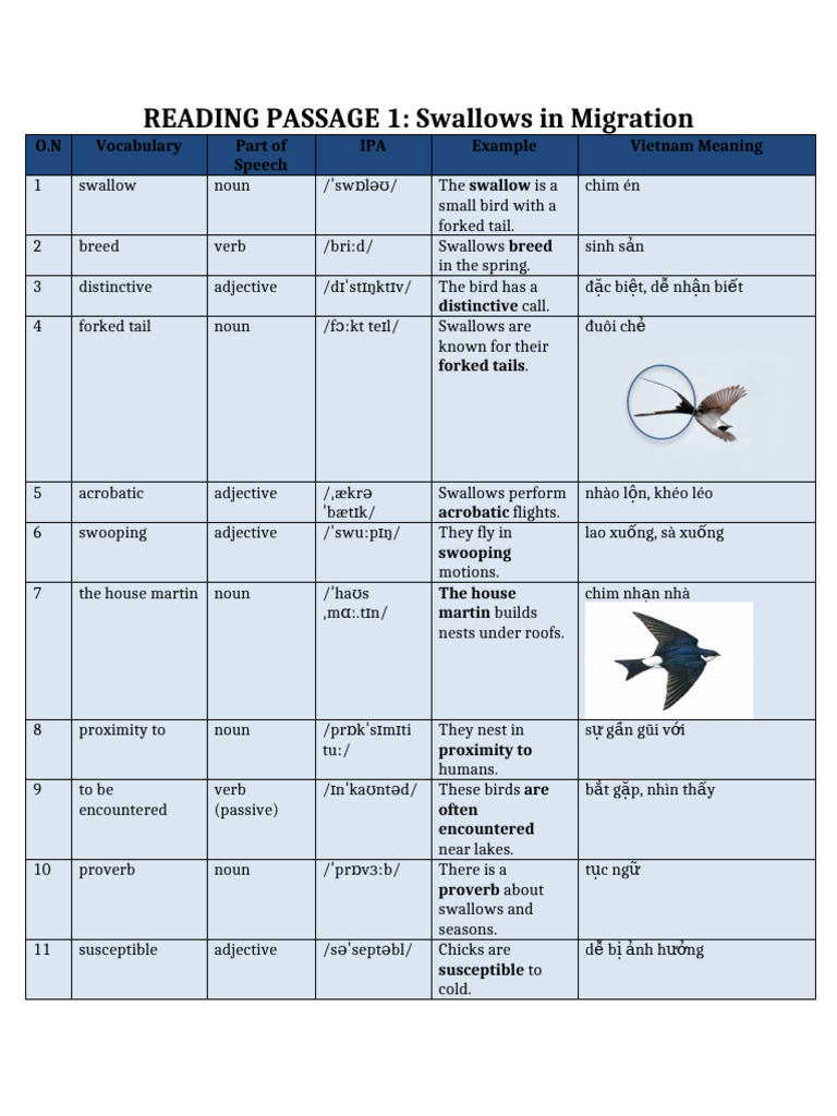 Unit 1 Swallows in Migration | PDF | Adjective | Zoology