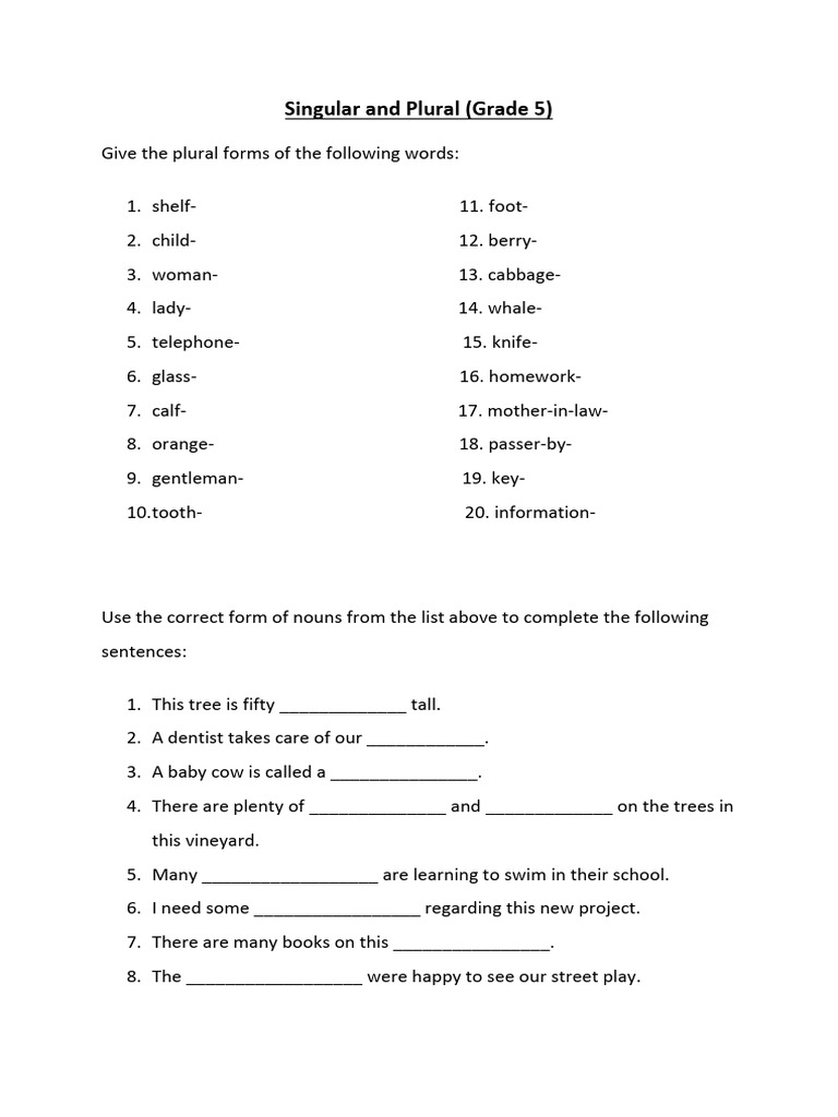 Grade 5 Singular and Plural Worksheet | PDF