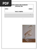NSTech Grade 5 Term 1 Practical Task | PDF | Plants | Natural Environment
