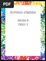 Grade 5 Geography Term 1 Notes | PDF | Africa | Continent