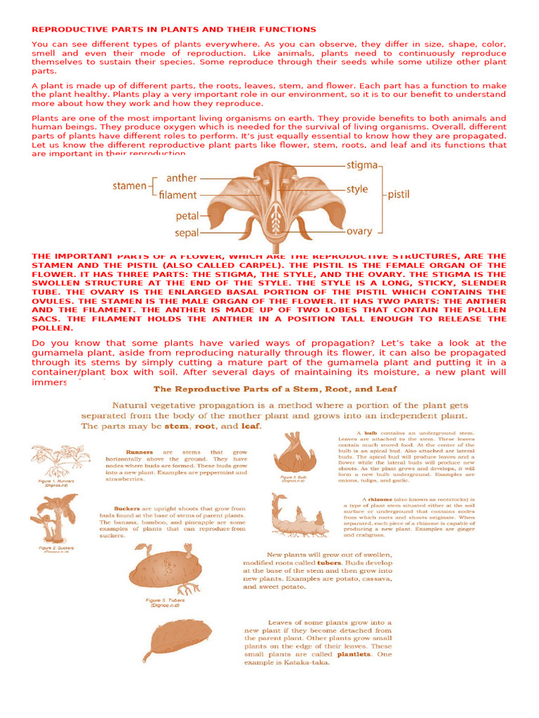 Understanding Plant Reproductive Parts | PDF