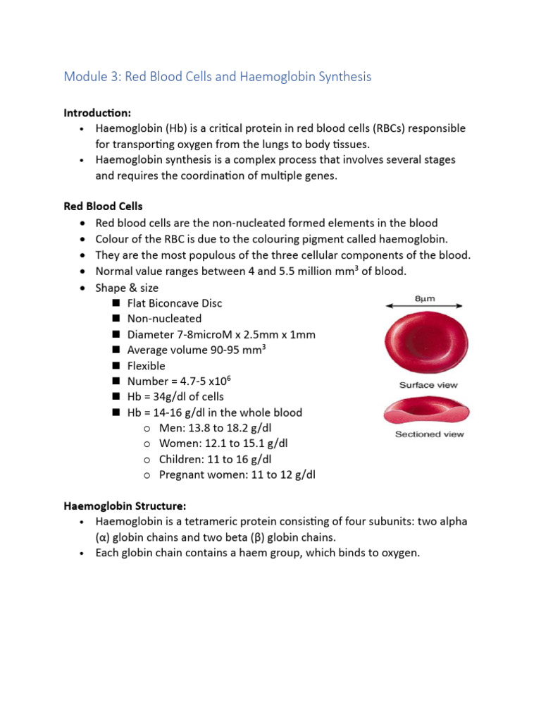 Module 3 Haemoglobin Synthesis | PDF | Hemoglobin | Red Blood Cell