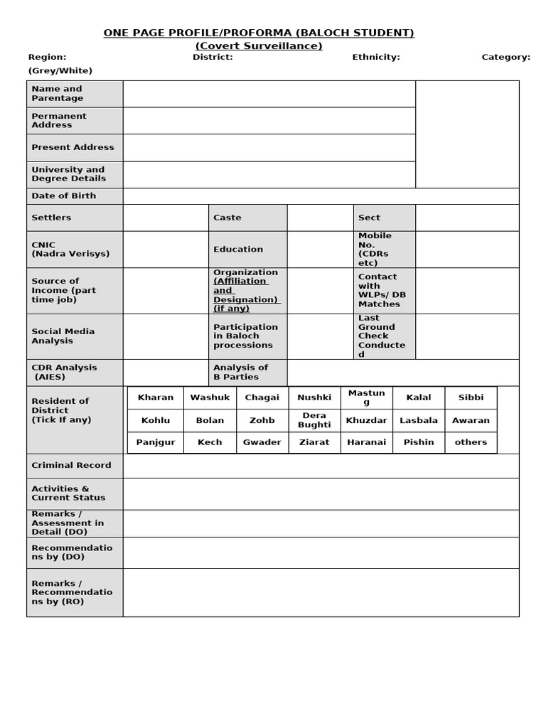 One Pager Sspecimen | PDF