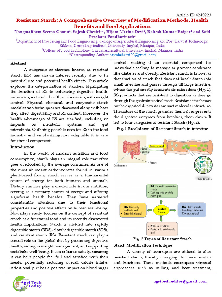 Resistant Starch A Comprehensive Overview of Modification Methods ...