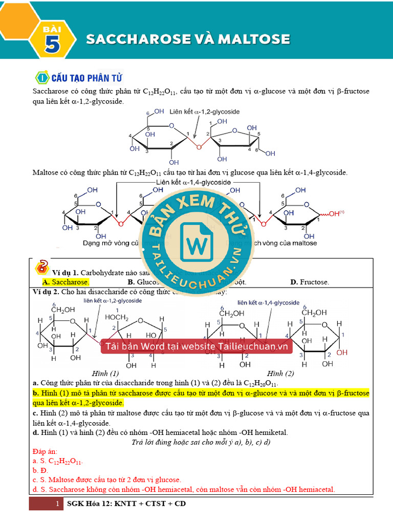 Bài 5. Saccharose Và Maltose - GV - Image.marked | PDF