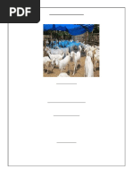 Goat Farming Project Report | PDF | Meat | Agriculture