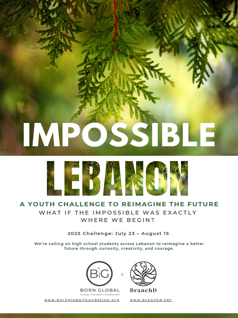 Youth Challenge: Reimagine Lebanon's Future | PDF